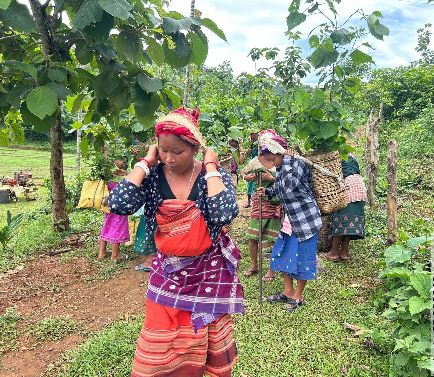 Empowering Women in Rural Development: The MegLIFE Project's Impact in ...
